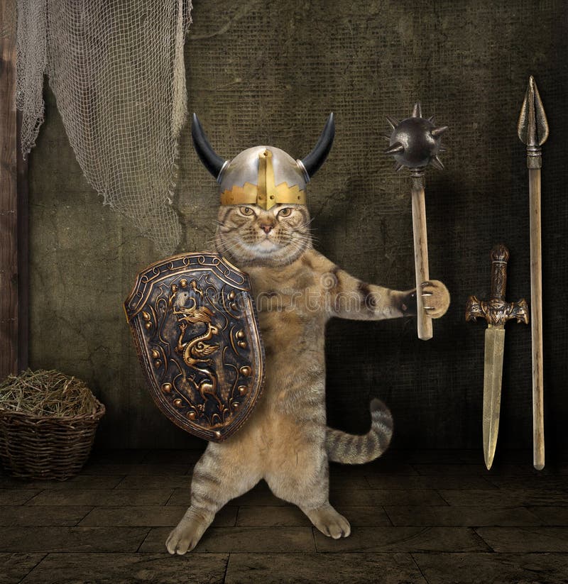Cat warrior in armory stock image. Image of steel, armory - 120320191
