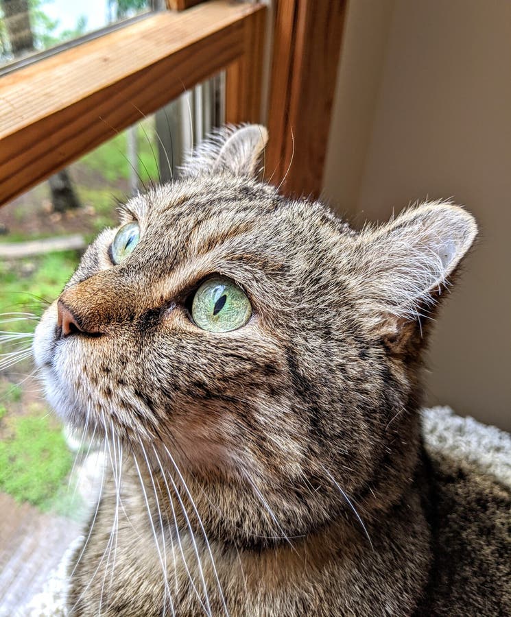 Susan Leggett (Noonie) - Photographer profile