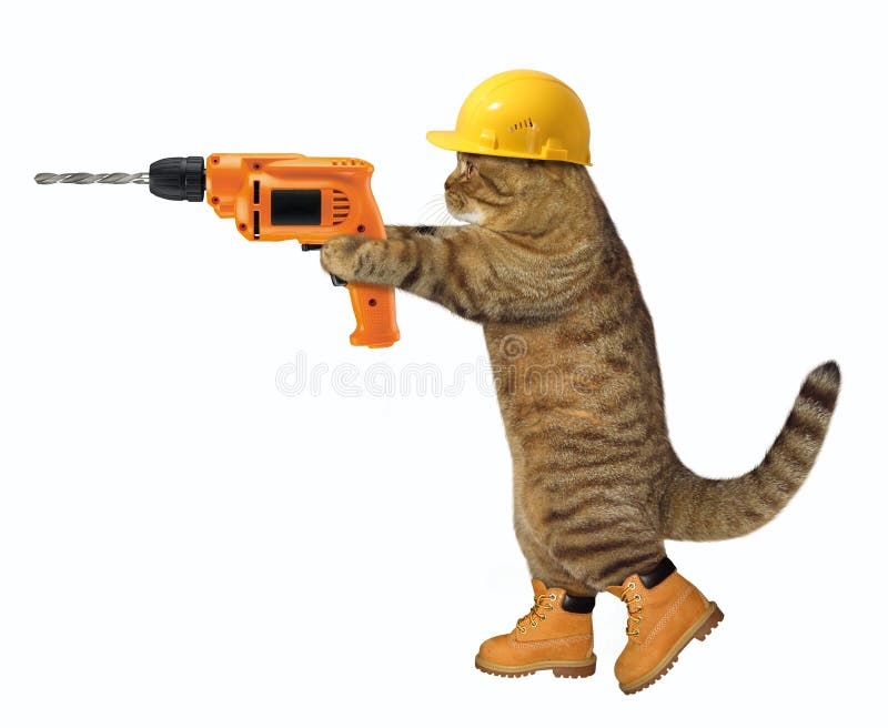 Cat Worker with Drill and Hammer Stock Photo - Image of industry ...