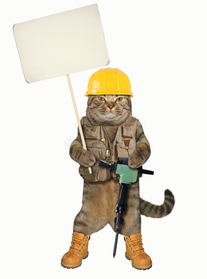 Cat Construction Worker Stock Illustrations – 214 Cat Construction ...