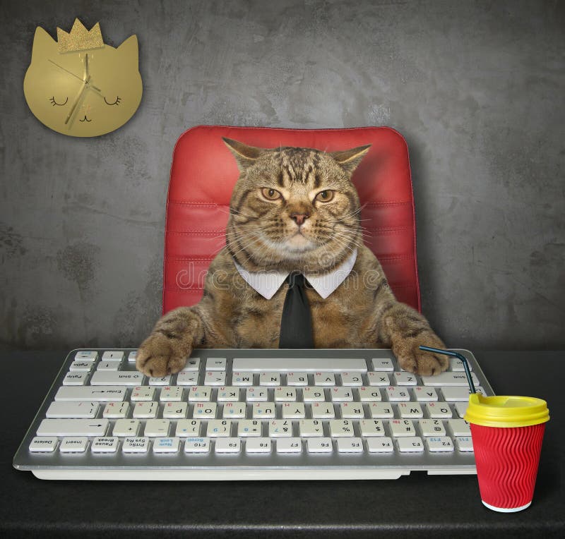 Cat works in the office stock image. Image of computer - 158907643 Cat works in the office stock image. Image of computer - 158907643