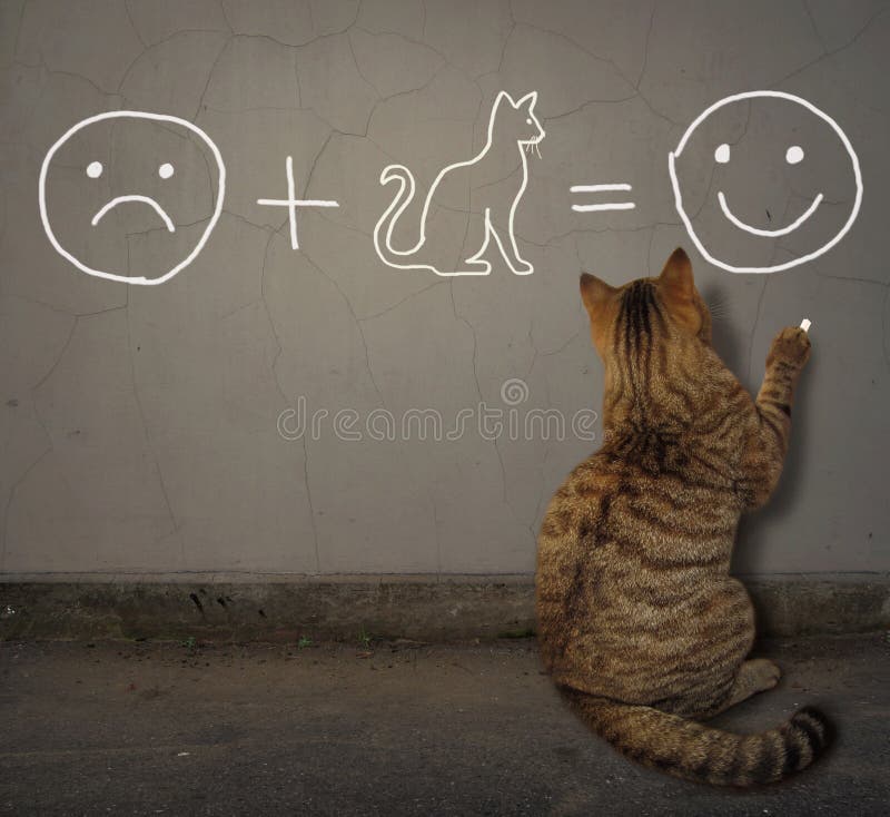 Cat Writes an Equation on the Wall Stock Image - Image of equation ...