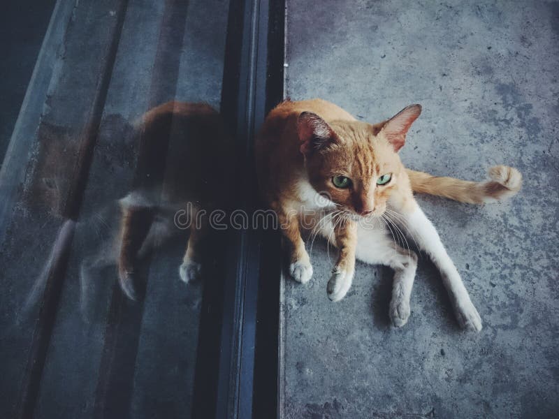 Reconciliation Floor Stock Photos - Free & Royalty-Free Stock Photos ...