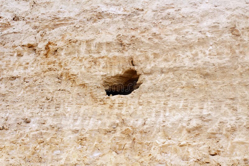 209 Catacomb Wall Texture Stock Photos - Free & Royalty-Free Stock ...