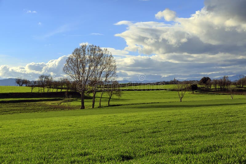 Spring in Spain stock image. Image of tree, nature, landscape - 21671423