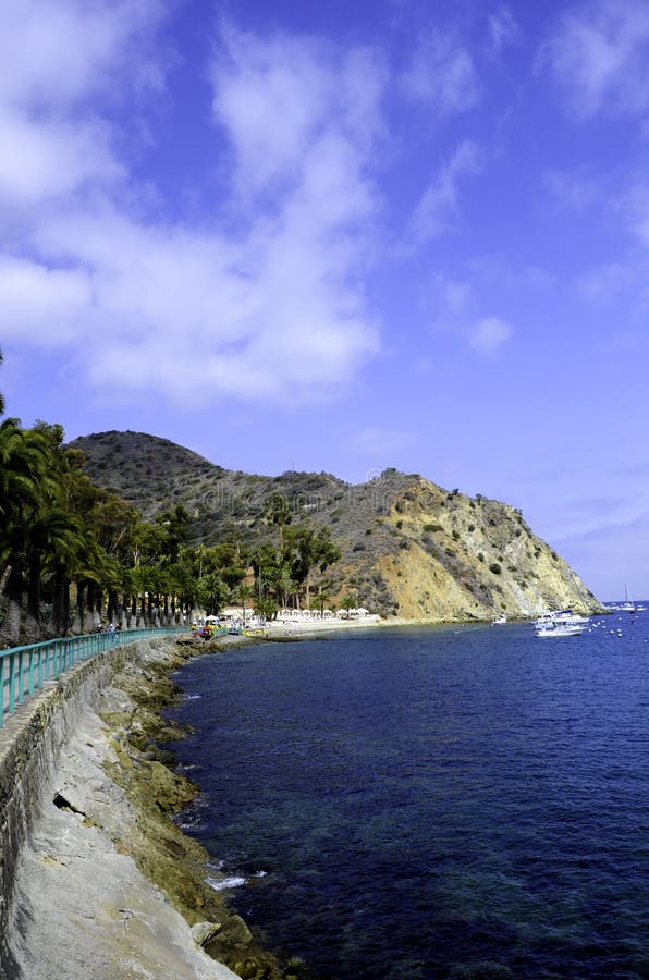 Catalina Island Harbor photo stock éditorial. Image du jour - 43693623