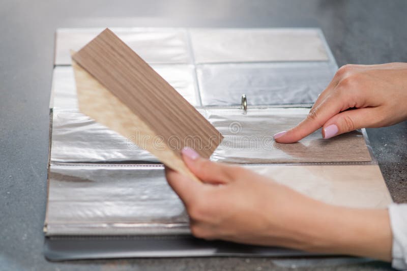 Catalog with Samples of Different Types of Wood. the Process of ...