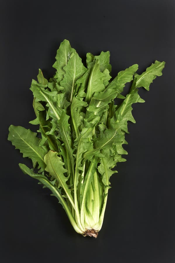 Catalogna image stock. Image du normal, aliment, nourriture - 54194753