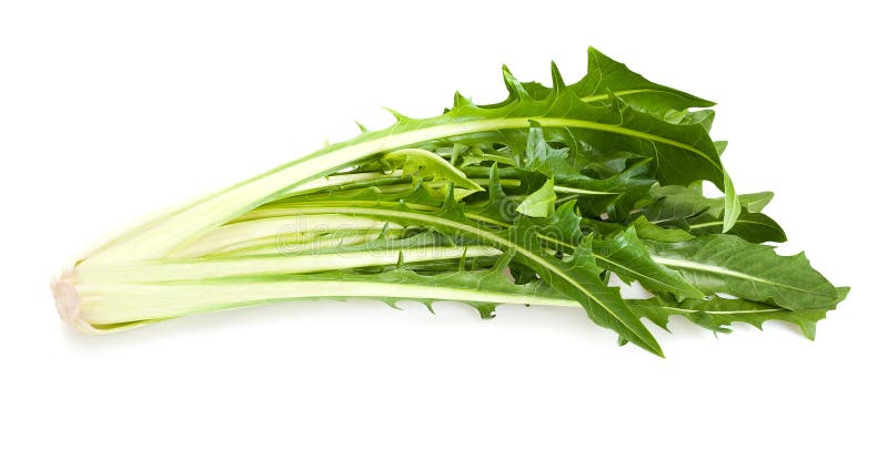 Catalogna salad stock image. Image of asparagus, healthy - 27588871