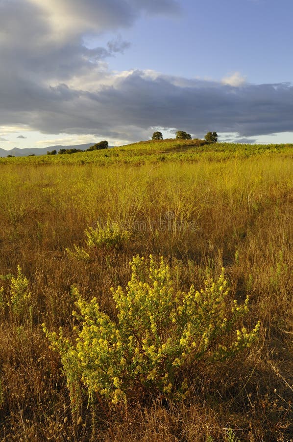 Catalonia landscape stock image. Image of autumn, panorama - 11480063