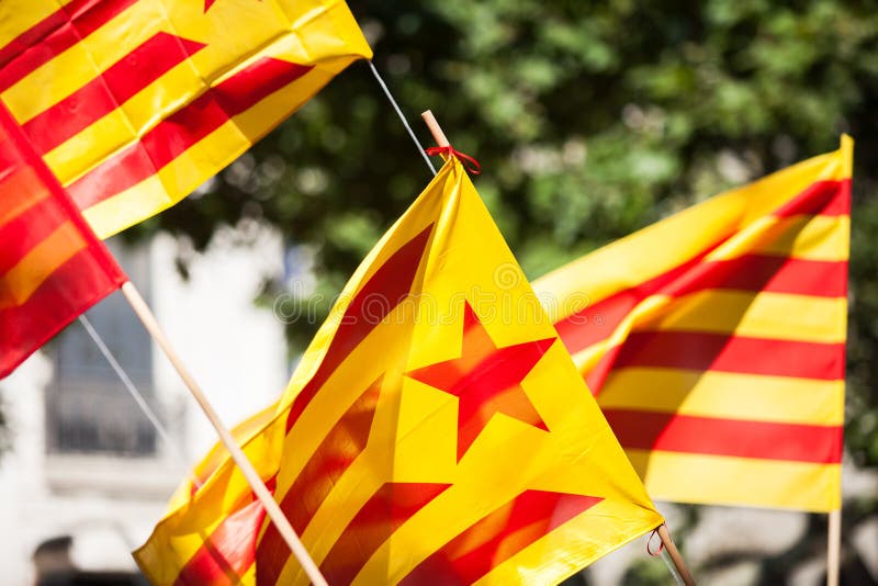 Catalonian flag stock image. Image of vote, independence - 57771233
