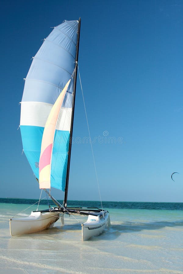 Sailboat Catamaran on Sandy Beach Stock Photo - Image of sports, blue ...
