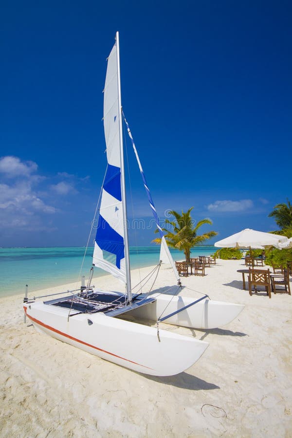 Catamaran at the beach stock photo. Image of sailing - 24177540