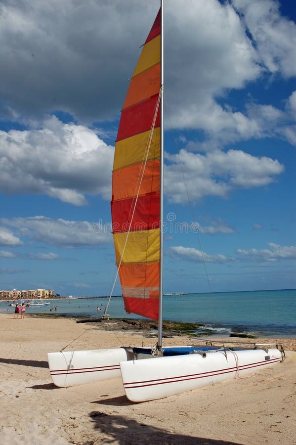 Catamaran on the beach stock photo. Image of competition - 459600