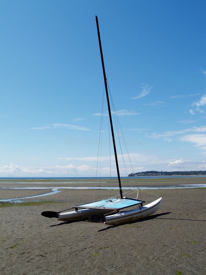 Old Catamaran stranded stock image. Image of clouds, boat - 77639665