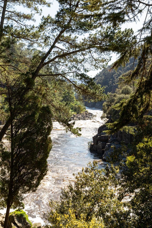 Cataract Gorge, Launceston, Tasmania, Australia Stock Image - Image of ...