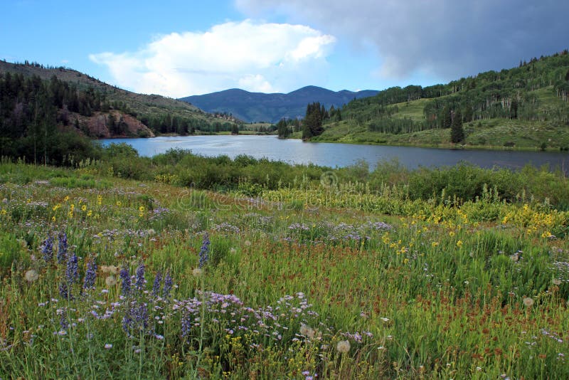 Cataract Lake, Colorado stock photo. Image of lavender - 32374756
