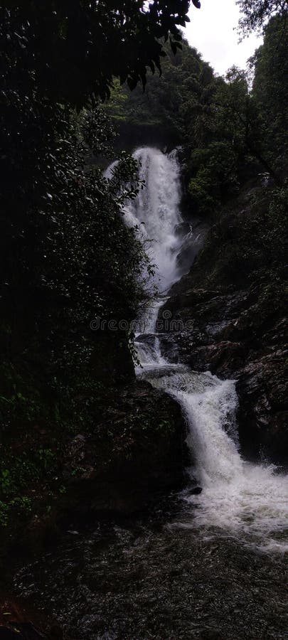 Cataract stock image. Image of woods, waterfall, mountains - 255341567