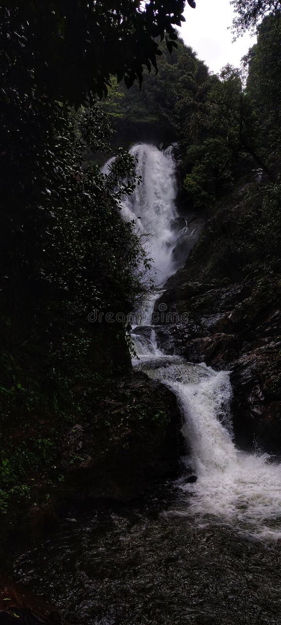 Cataract stock image. Image of woods, waterfall, mountains - 255341567