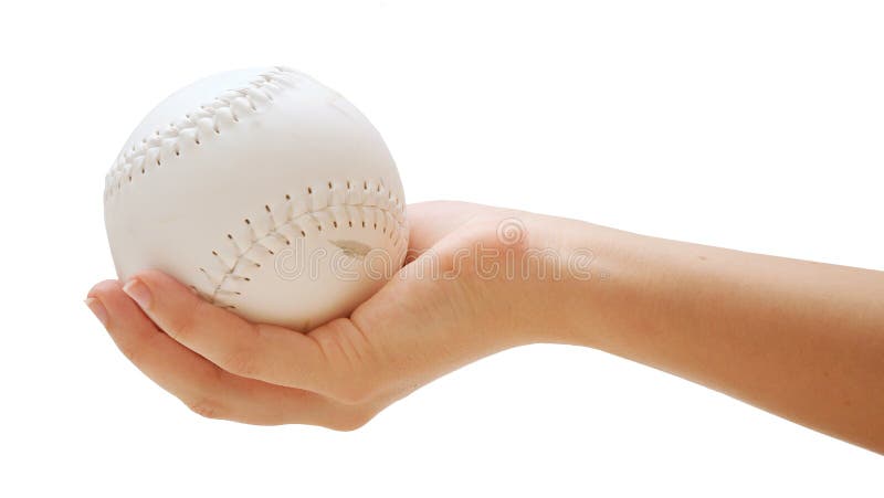 Hands of newlywed couple stock photo. Image of youthful - 1228380