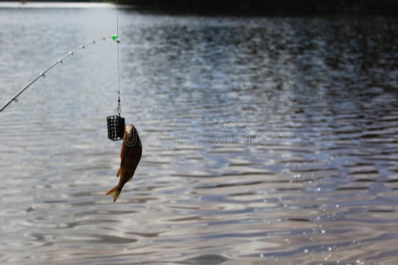 Catch of the Day on the Hook by the Lake. Stock Image - Image of bait ...