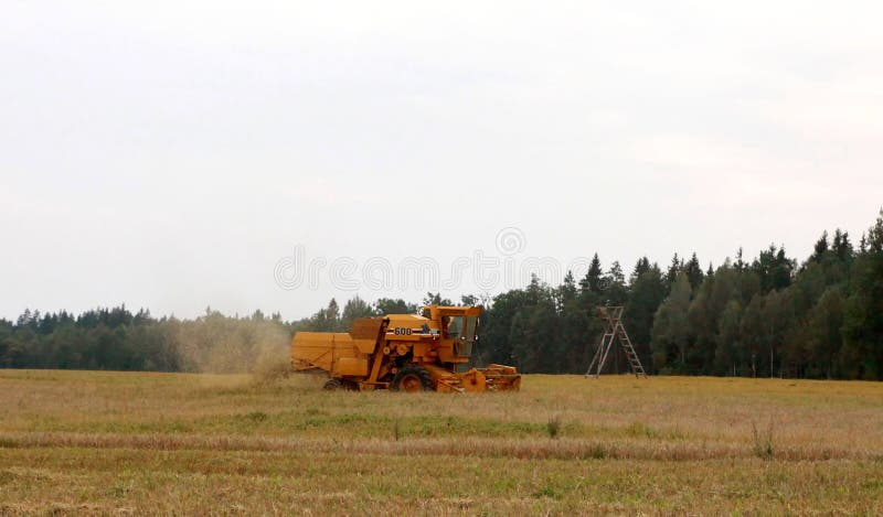 The catch on the field stock photo. Image of catch, agriculture - 95524046