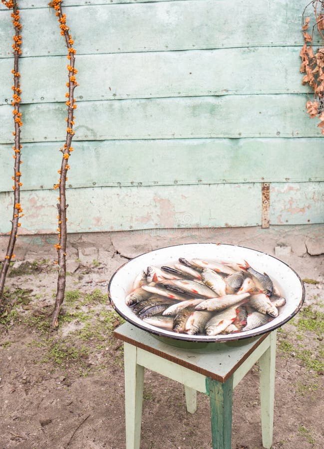 The Catch of Fish in a Basin Stock Image - Image of delta, danube ...