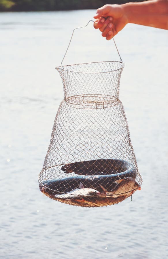 Catch Fish in the Corf on the River in Summer Stock Photo - Image of ...