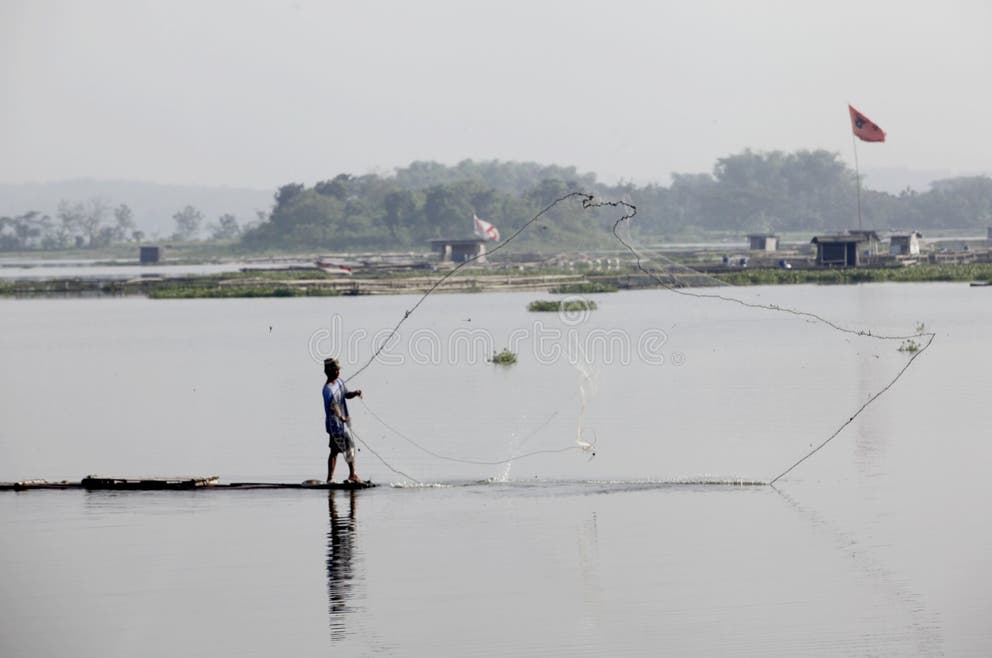 Catch fish editorial stock image. Image of food, java - 41044559