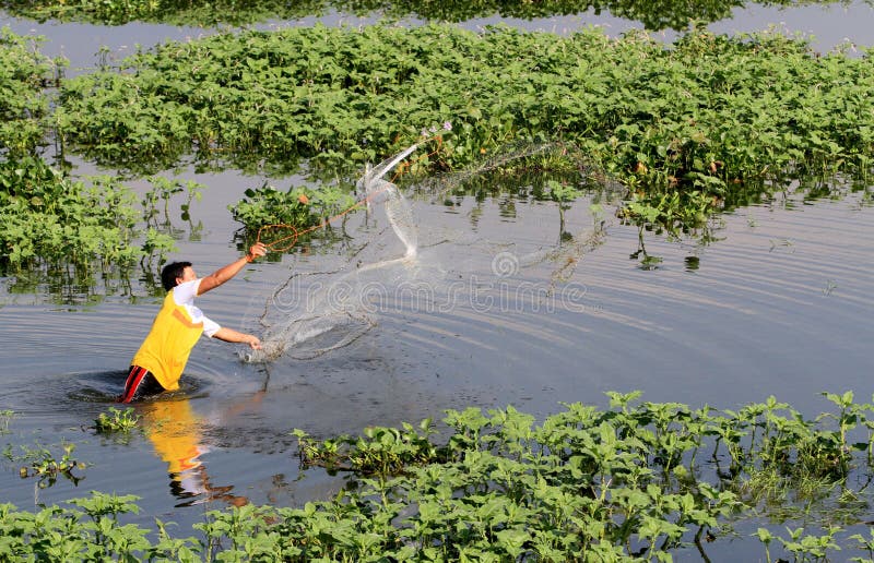 Catch fish editorial image. Image of java, nets, boyolali - 49257250