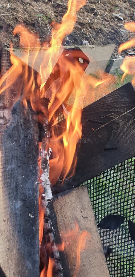 Catch a flicker stock image. Image of catch, burn, flicker - 147815941