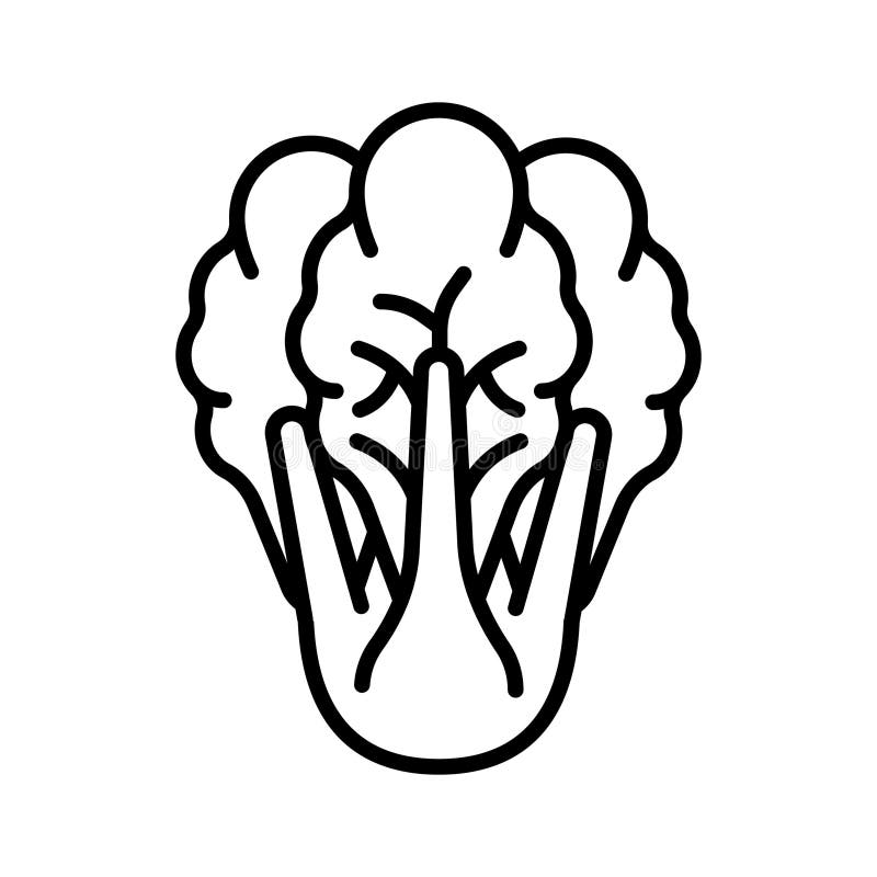 Catch a Sight of this Visually Perfect Icon of Cabbage in Trendy Style ...