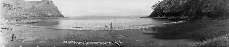 Catch Of Snapper, Bay Of Islands, 1923-1928 Picture. Image: 222416885