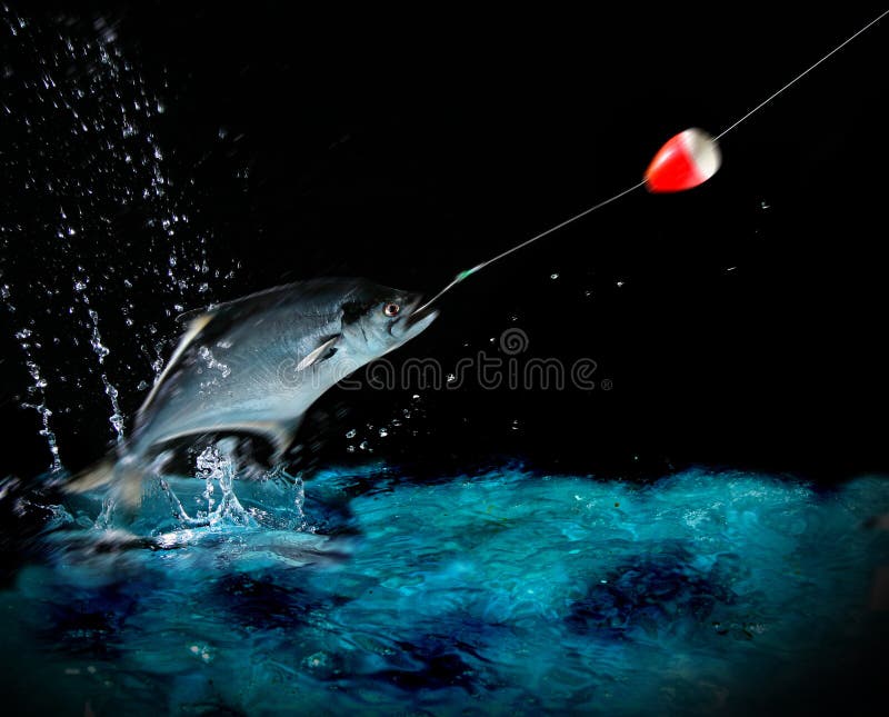 Catching a Big Fish at Night Stock Photo - Image of angler, jumping ...