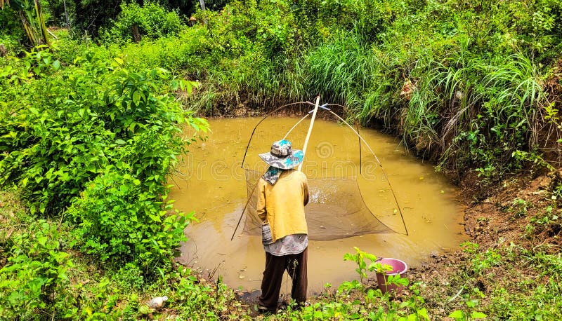 Catching fish stock photo. Image of nature, catching - 259875476