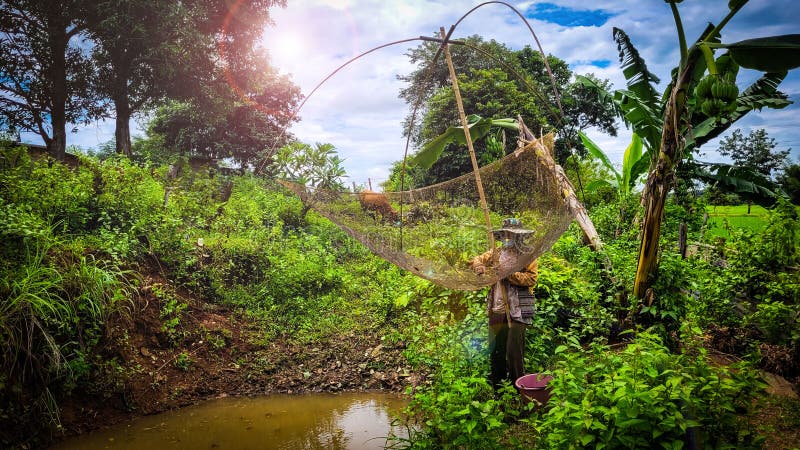 Catching fish stock photo. Image of background, sunset - 282818856
