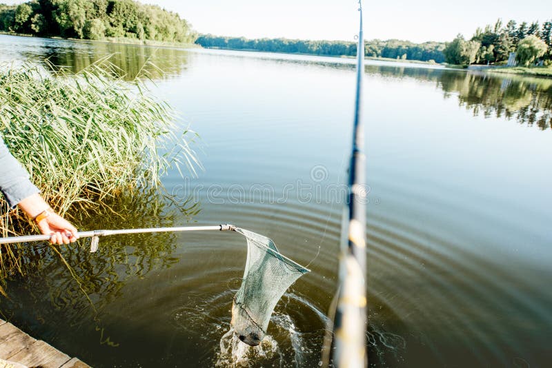 Catching fish with net stock photo. Image of water, activity - 121187184