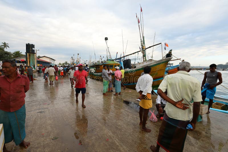 Catching Fresh Fish in the Port of Matara in Sri Lanka Editorial Photo ...