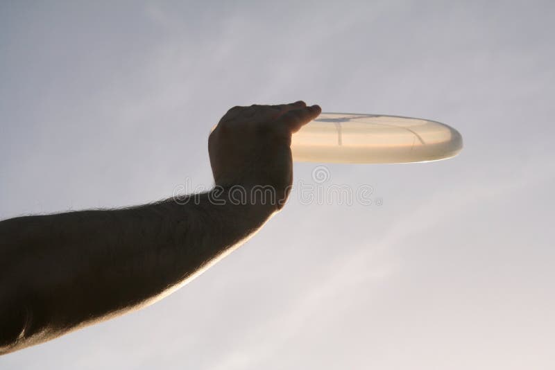 Catching the Frisbee stock image. Image of toss, park - 1256793