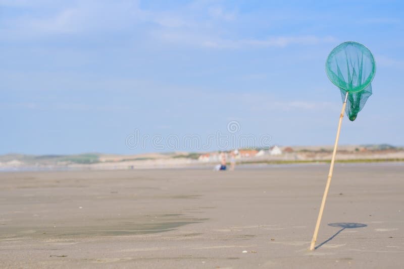 Catching Green Net in Standing on Sandy Beach Stock Photo - Image of ...