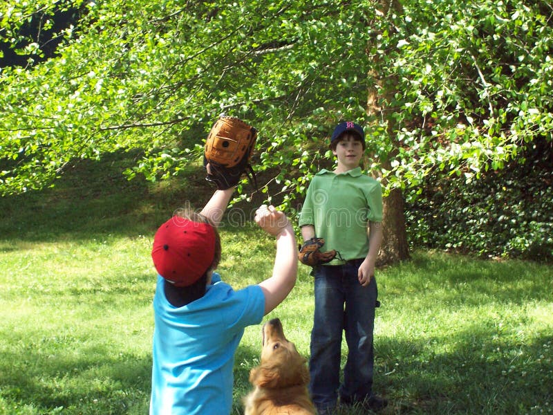 Catching the pop fly stock image. Image of catch, backyard - 2498143