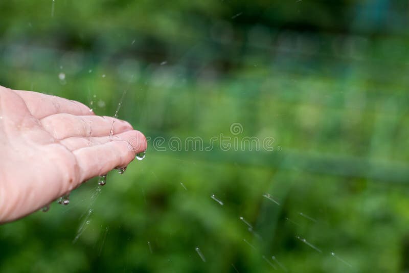 Rainwater Catching Stock Photos - Free & Royalty-Free Stock Photos from ...