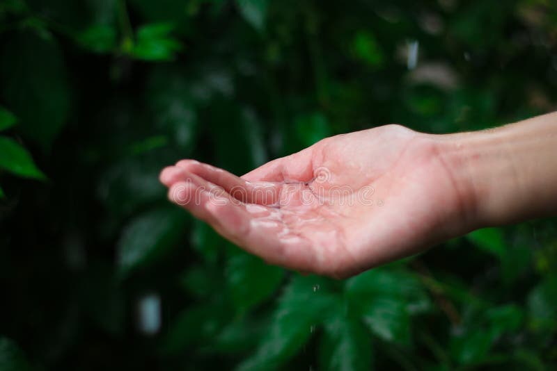 Catching raindrops stock image. Image of aqua, male - 243086261