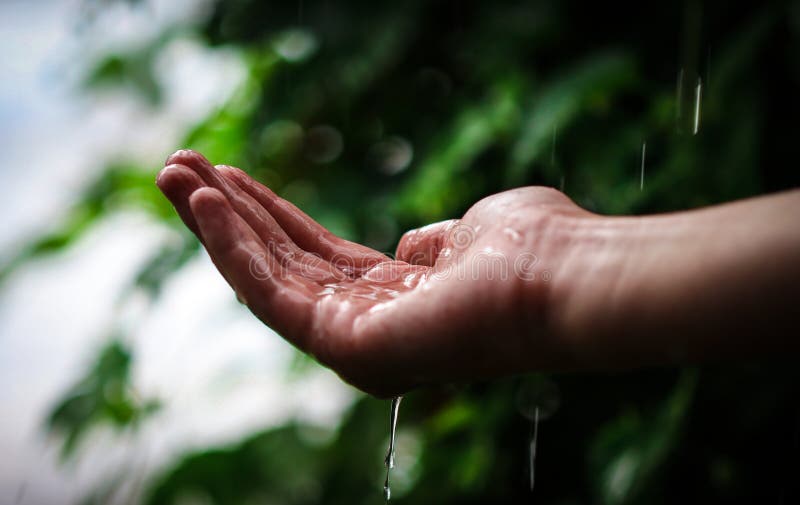 Rainwater Catching Stock Photos - Free & Royalty-Free Stock Photos from ...