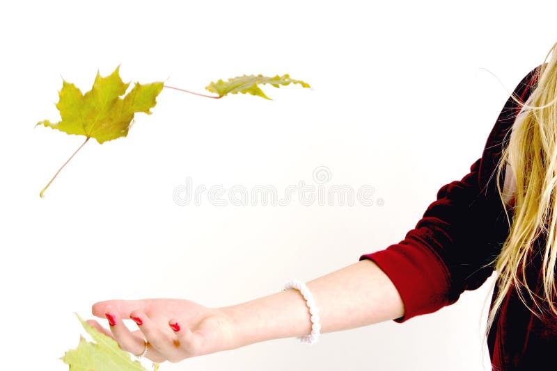 Catching on to fall stock photo. Image of foliage, fall - 275786