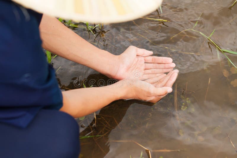 Catching water in river stock image. Image of clean, help - 98706865