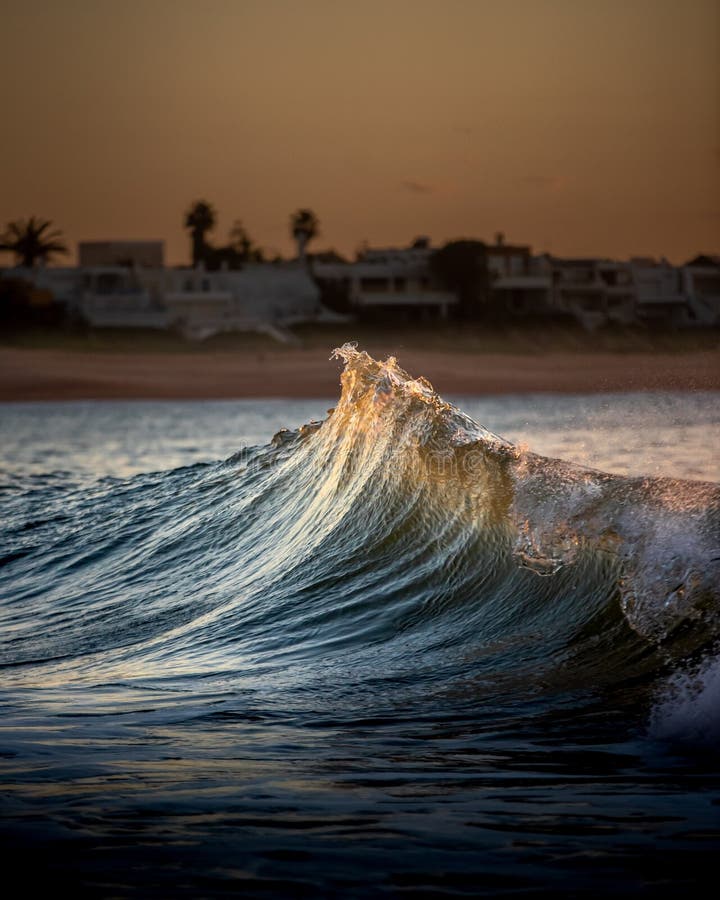 Catching waves is an art stock photo. Image of beach - 203930710