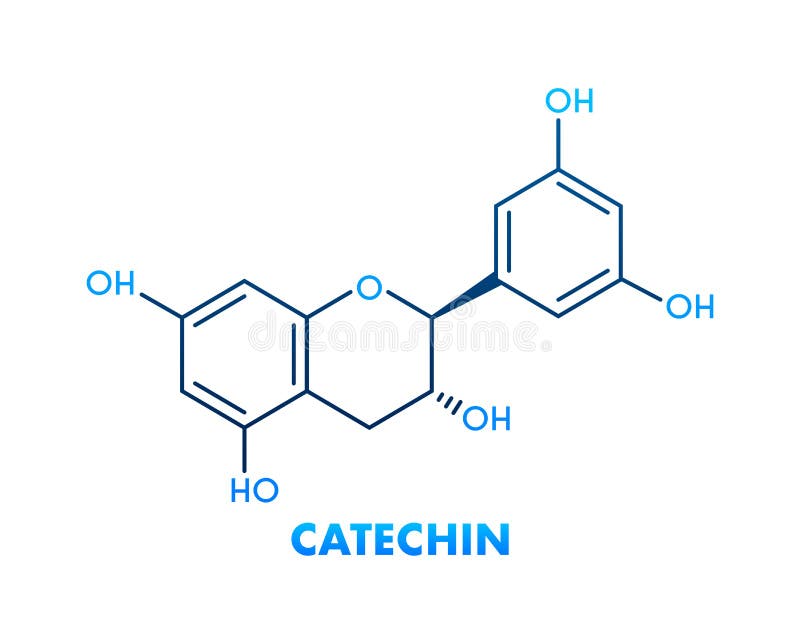 Catechin Formula. Icon with Green Catechin Formula Stock Vector ...