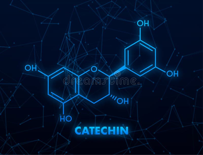 Catechin, Epicatechin, Flavonoid, C15H14O6 Molecule. it is Flavanol, a ...