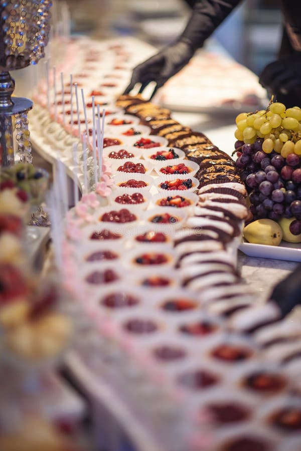 Catering Food, Food Wedding Celebration. Caterer Arranges Array of ...